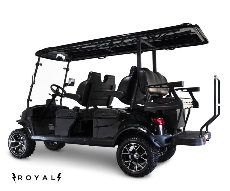 AMBASSADOR LINE UP - Royal EV
