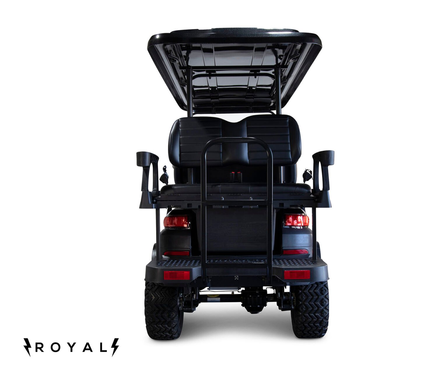 AMBASSADOR LINE UP - Royal EV